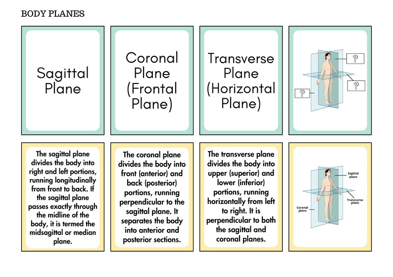 Medical Terminology Flashcards, Medical Terminology Prefixes, Suffixes ...