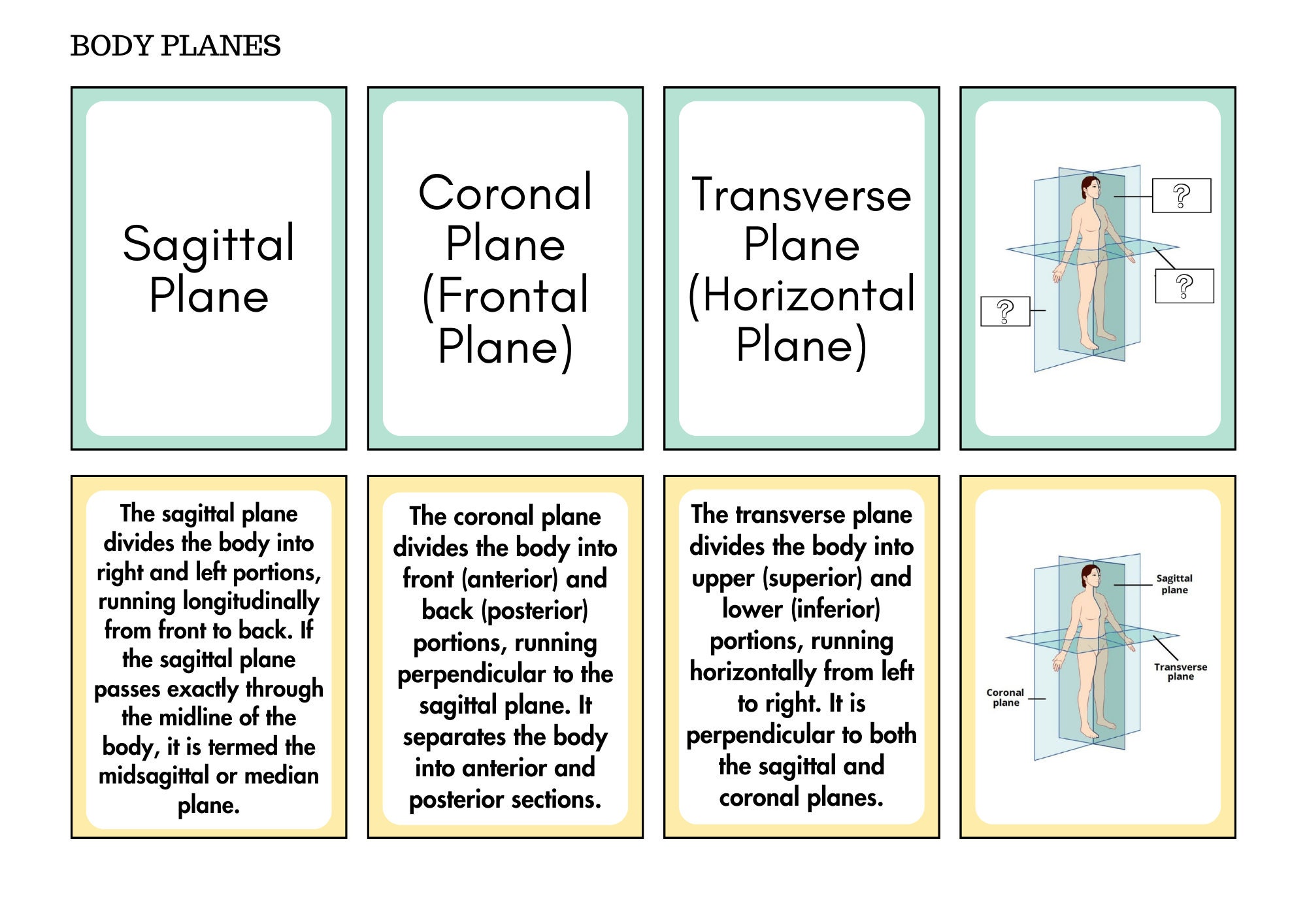 Medical Terminology Flashcards, Medical Terminology Prefixes, Suffixes ...