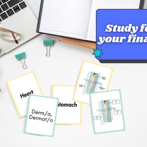 Medical Terminology Flashcards, Medical Terminology Prefixes, Suffixes ...