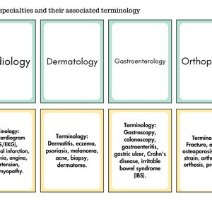 Medical Terminology Flashcards, Medical Terminology Prefixes, Suffixes ...