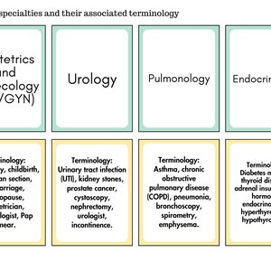 Medical Terminology Flashcards, Medical Terminology Prefixes, Suffixes ...
