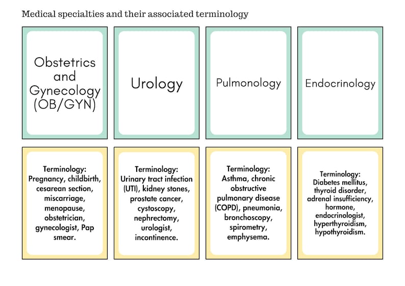 Medical Terminology Flashcards, Medical Terminology Prefixes, Suffixes ...