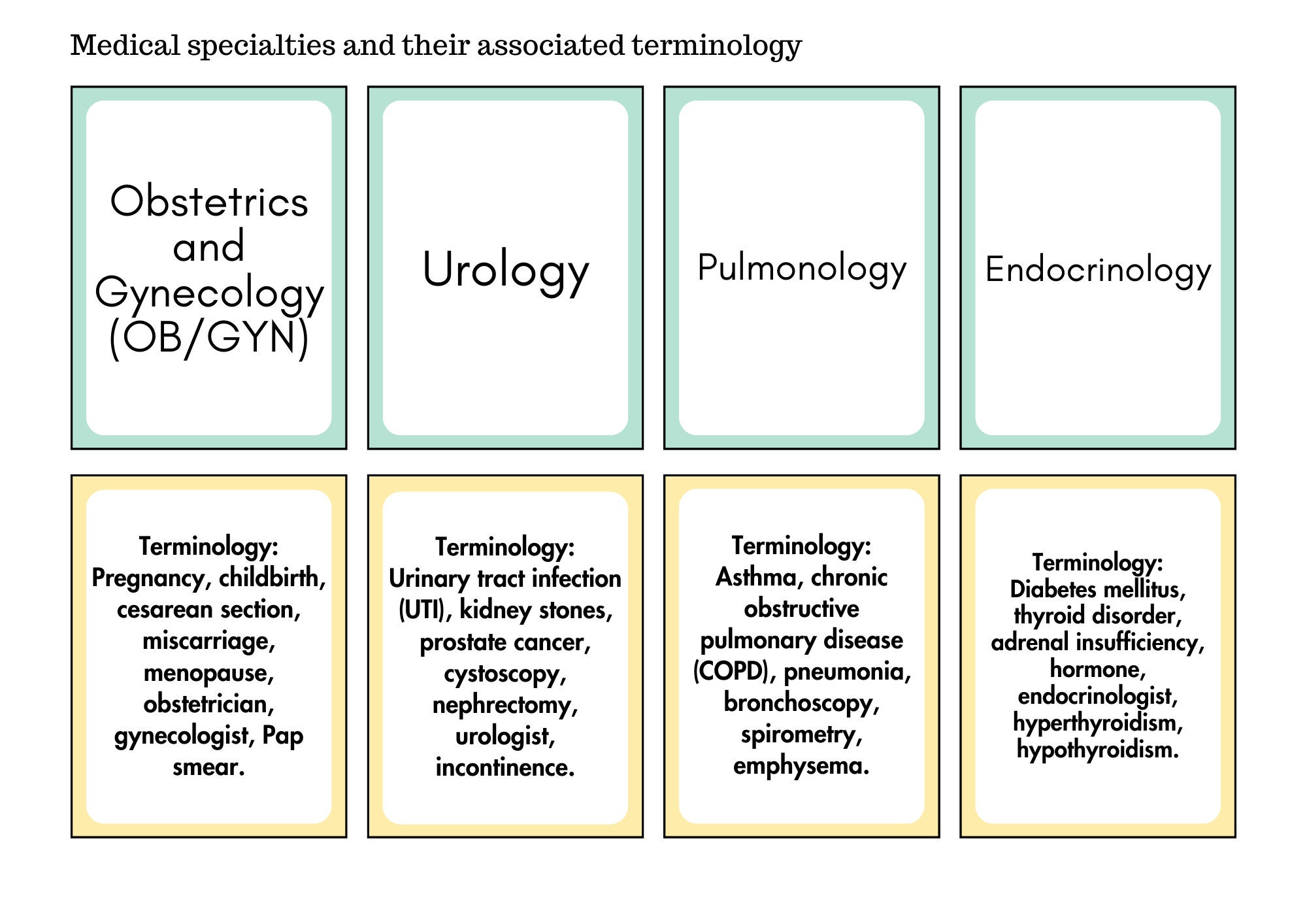 Medical Terminology Flashcards, Medical Terminology Prefixes, Suffixes ...