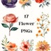 Spring Watercolor Clip Art Collection - Birds, Flowers & Butterflies ...
