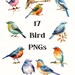 Spring Watercolor Clip Art Collection - Birds, Flowers & Butterflies ...