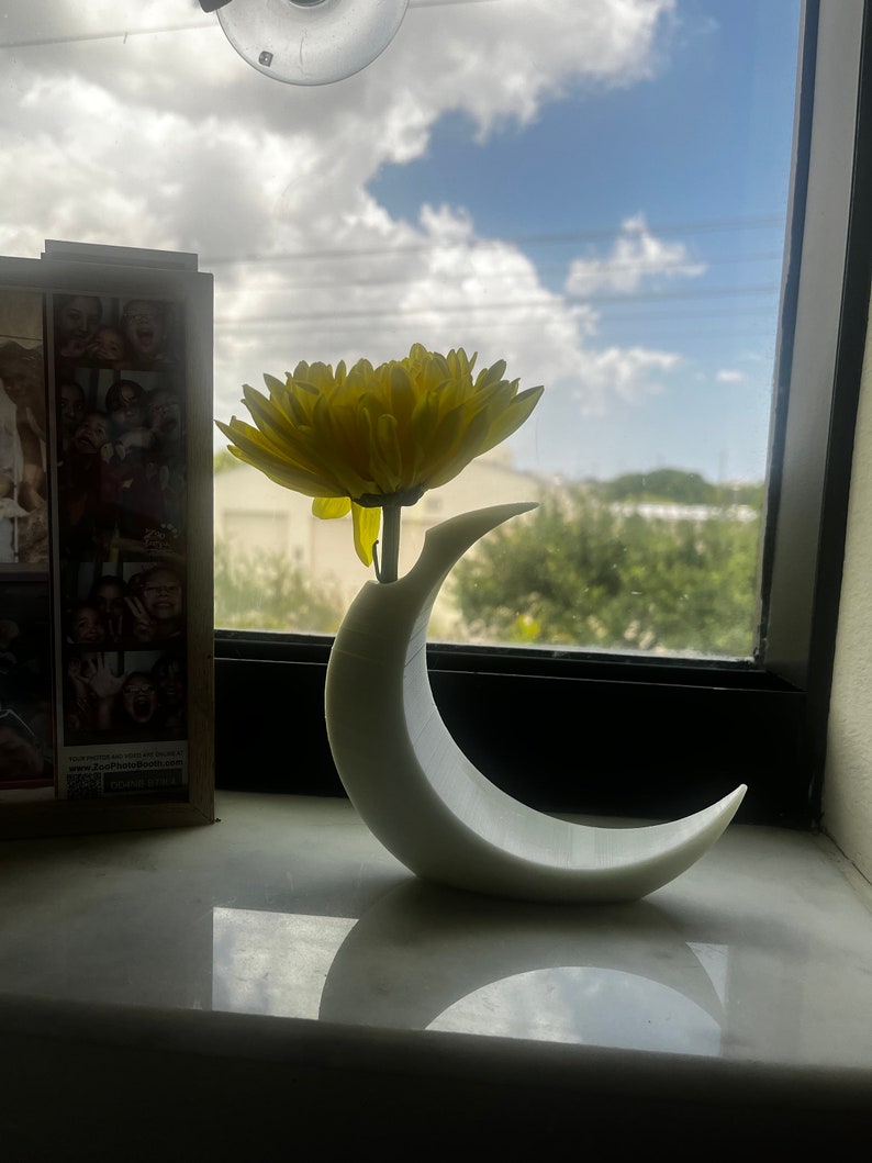 Crescent Moon Vase (glow in Dark) - Etsy