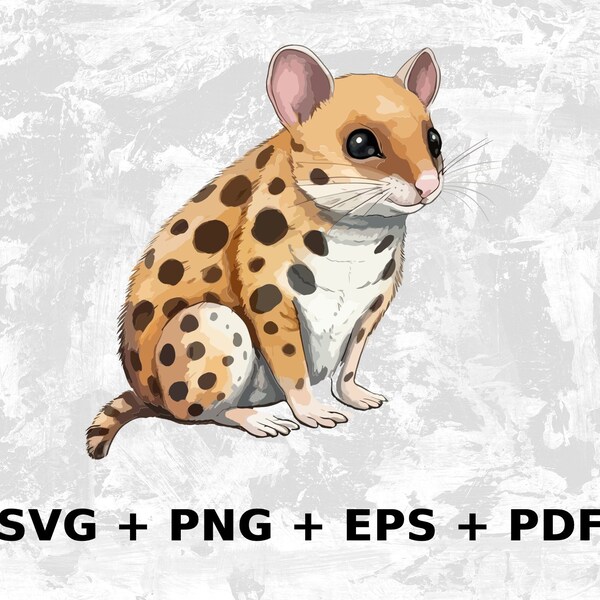 Quoll - Etsy