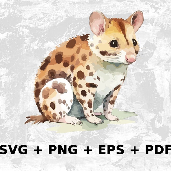 Quoll - Etsy
