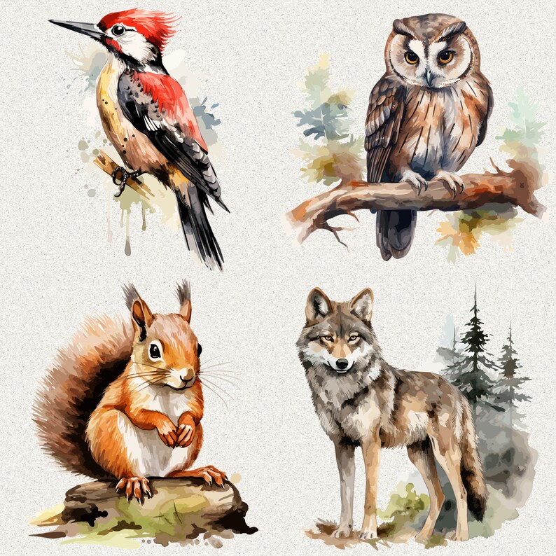 Woodland Animals Clip Art Bundle Forrest Animals Clip Art Watercolor ...