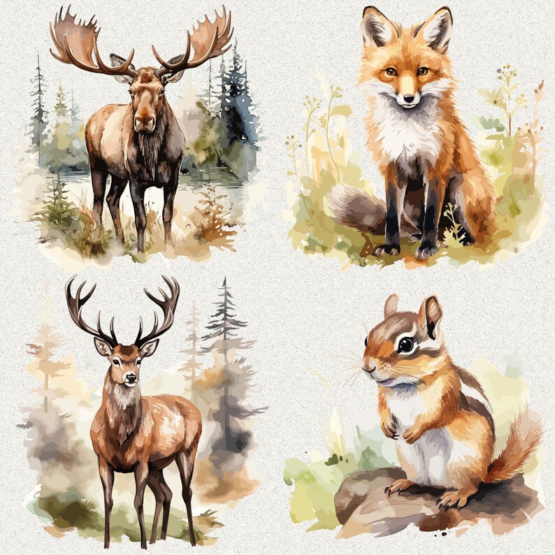 Woodland Animals Clip Art Bundle Forrest Animals Clip Art Watercolor ...