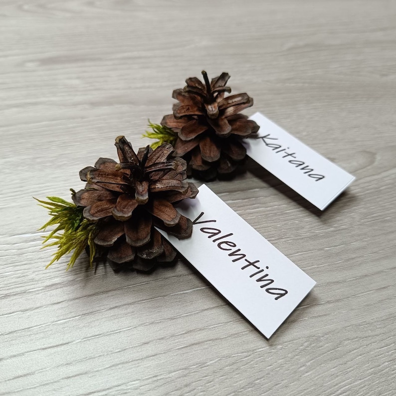 10 Pine Cone With Moss Place Card Holders - Etsy