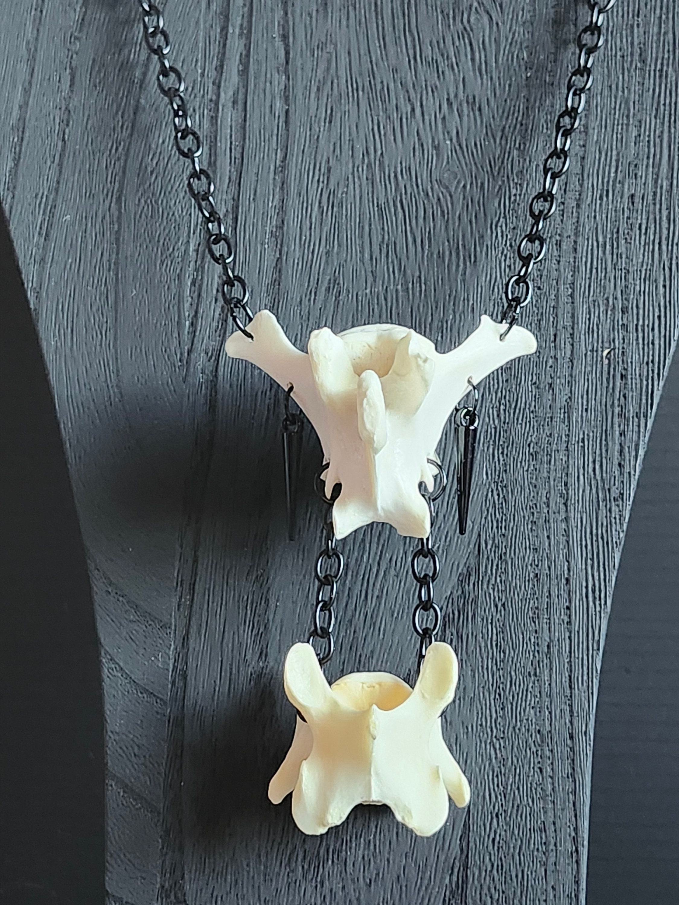 Real Coyote Two Tiered Vertebrae Choker Suspended on Black Chain With ...