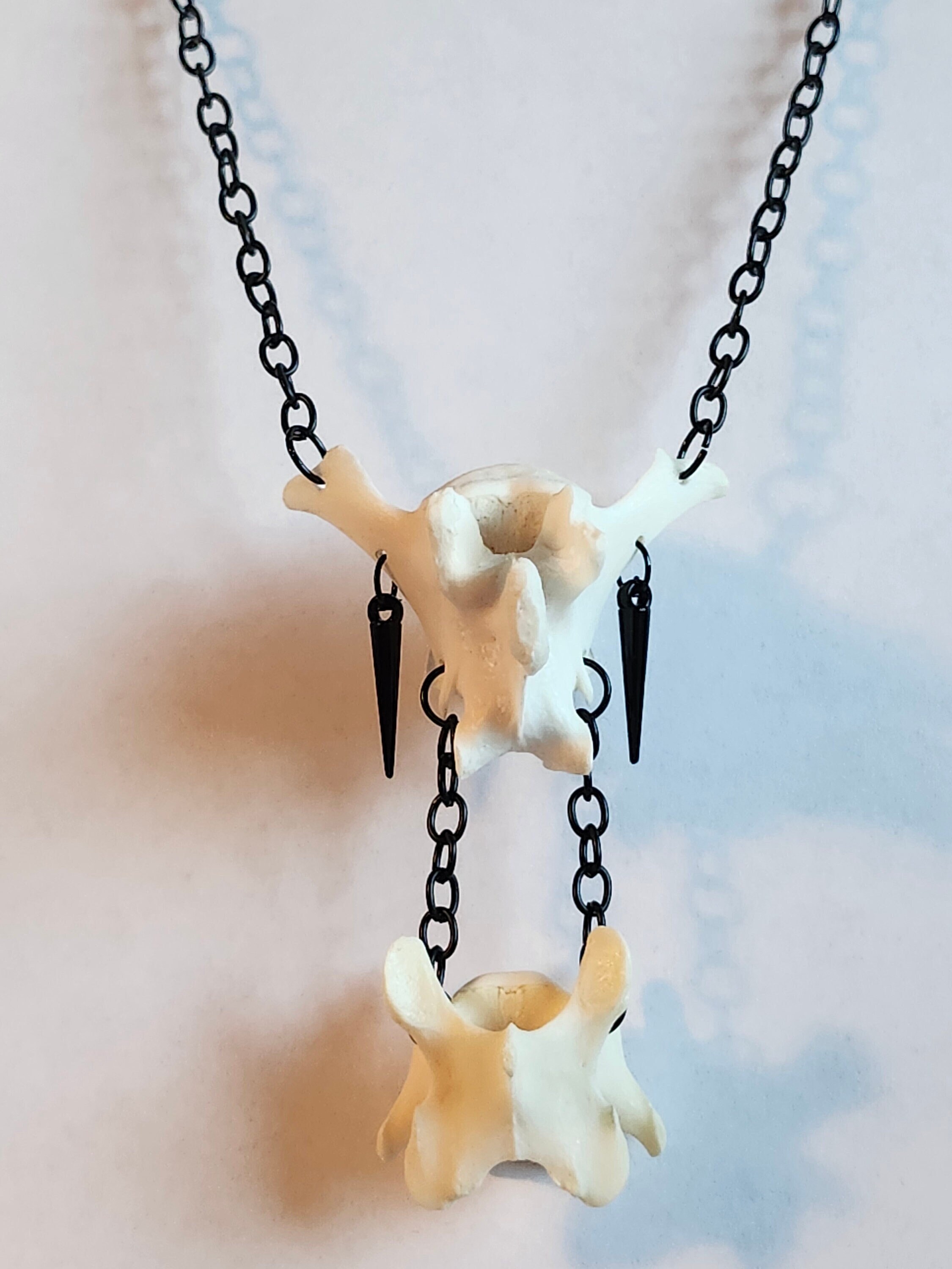 Real Coyote Two Tiered Vertebrae Choker Suspended on Black Chain With ...