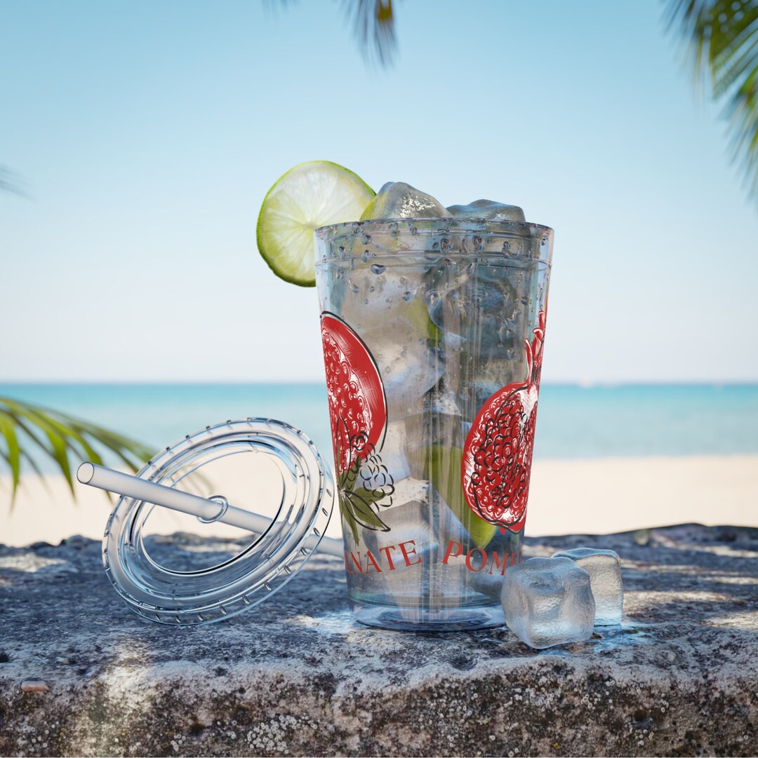 Tumbler With Lid & Straw, Plastic Crack Resistant Iced Coffee Pint Cup ...