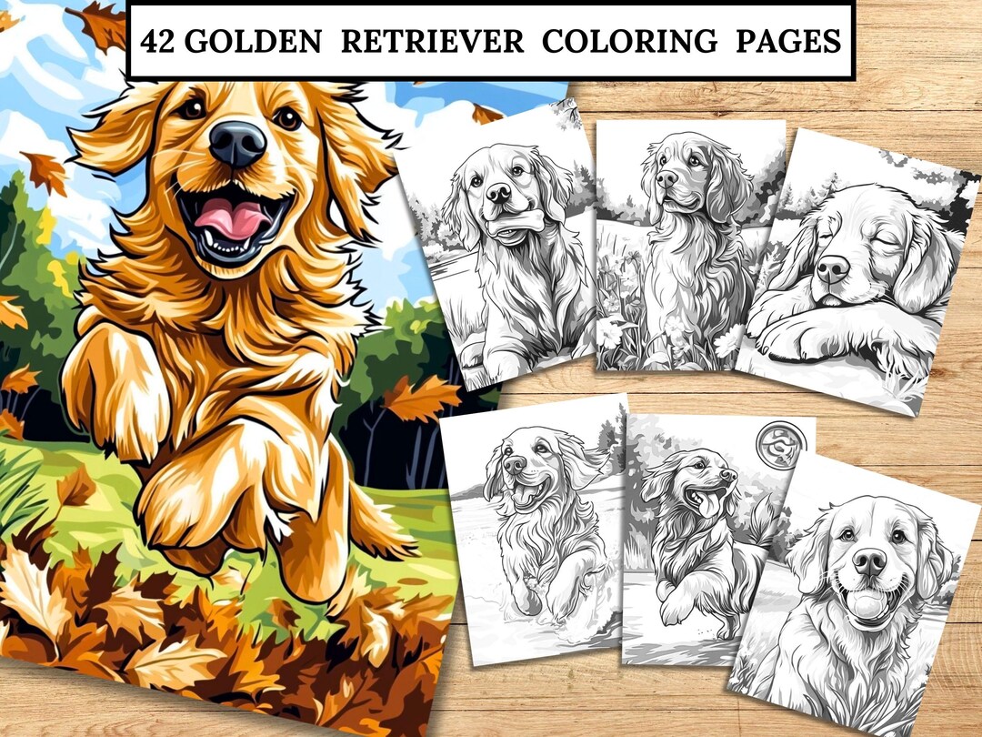 42 Golden Retrievers Coloring Pages, Greyscale Pages, Cute Coloring ...