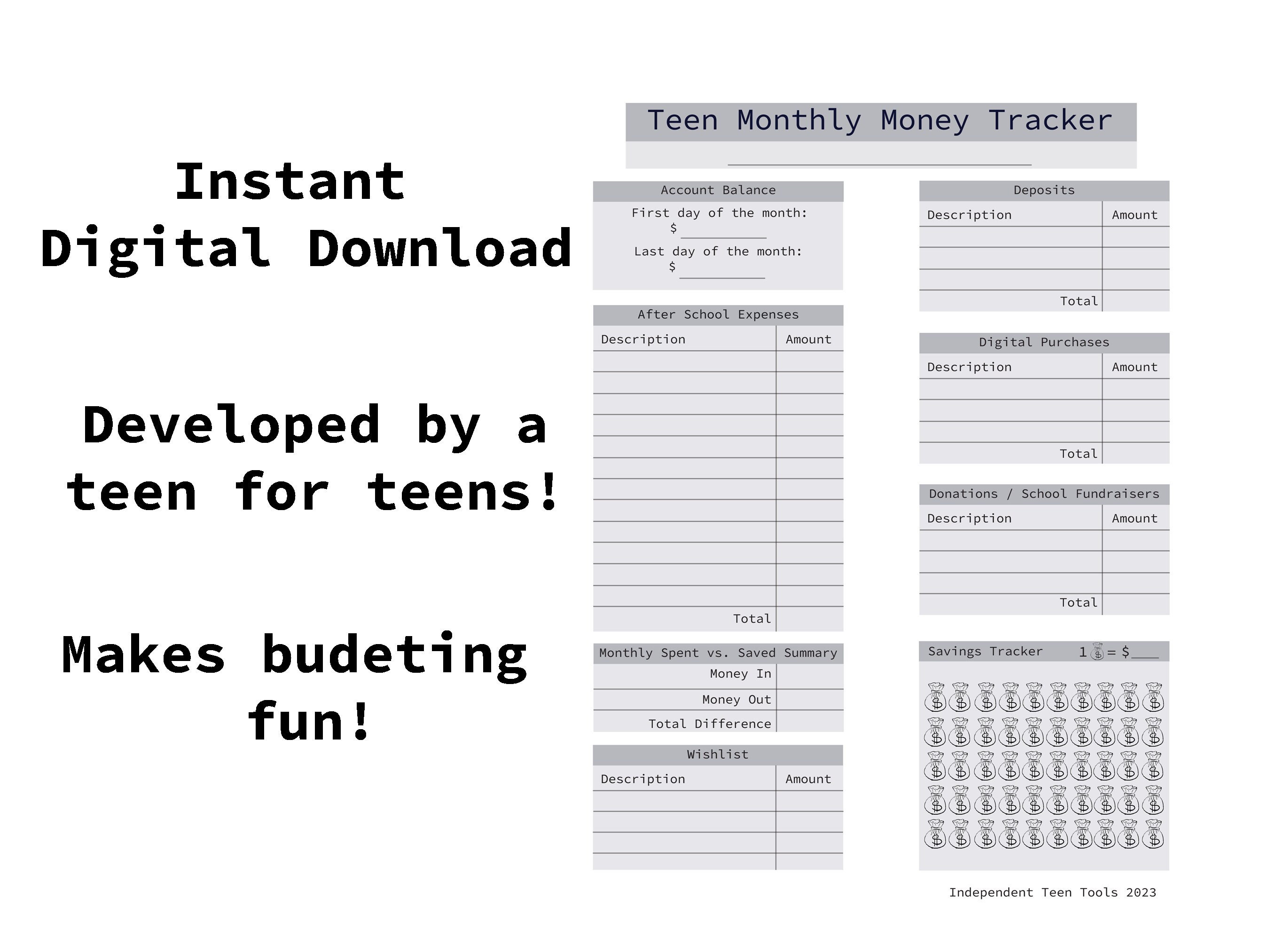 Teen Monthly Money Tracker Template Budget Worksheet - Etsy