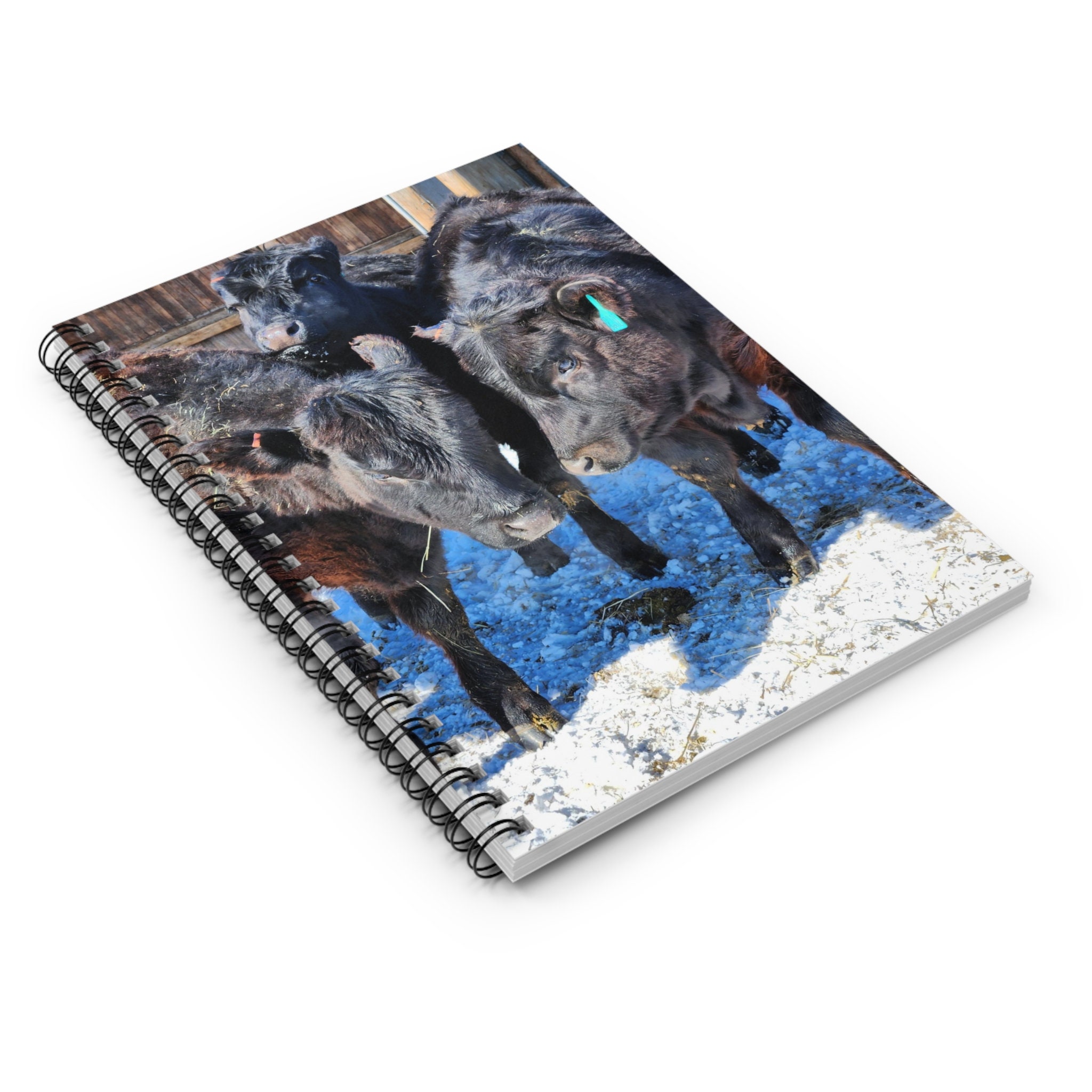 Cow Spiral Notebook - Ruled Line, Black Angus Notebook, Black Angus ...