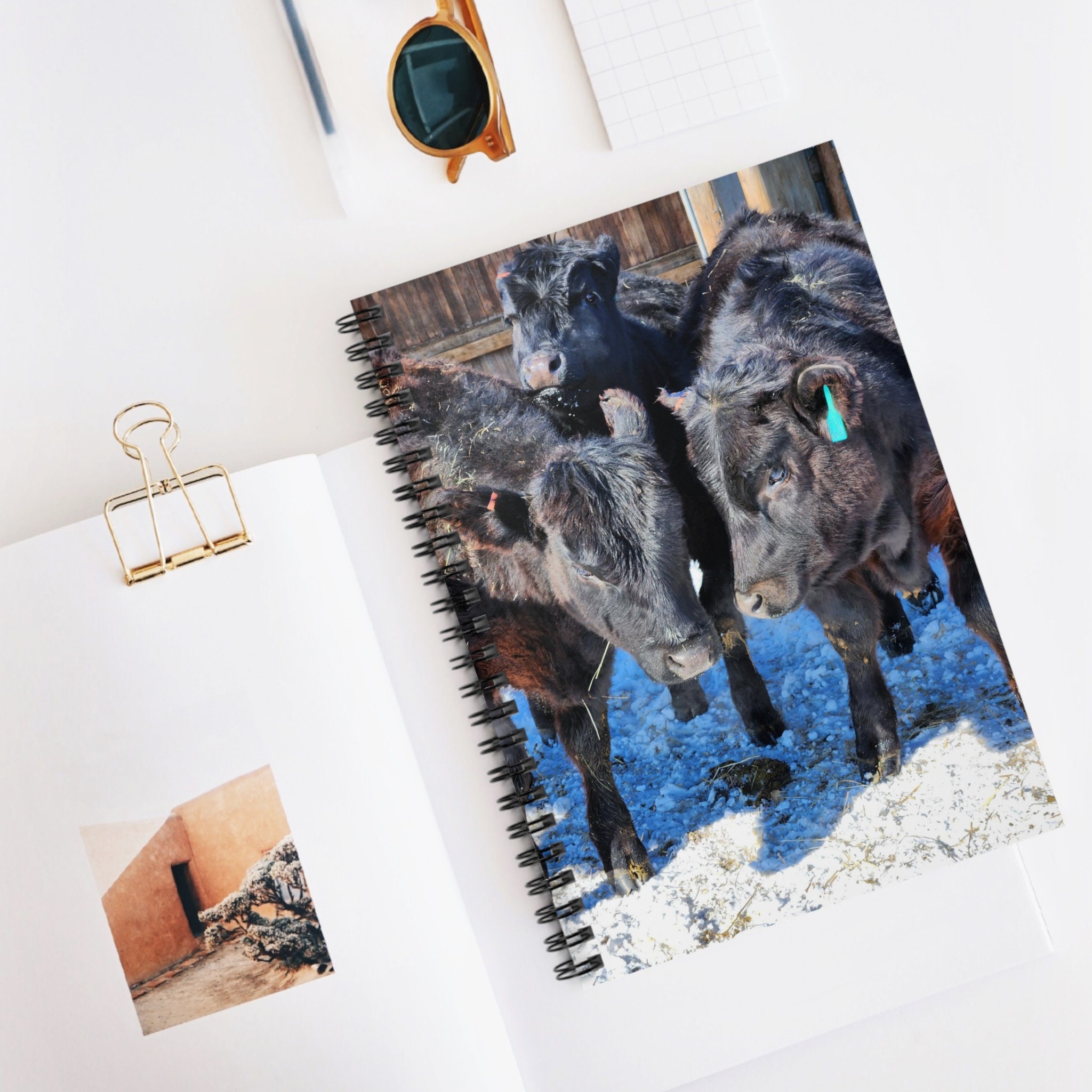 Cow Spiral Notebook - Ruled Line, Black Angus Notebook, Black Angus ...