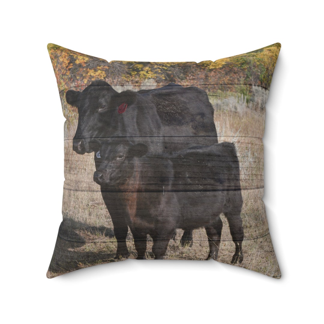 Black Angus Cow and Calf Spun Polyester Square Pillow - Etsy
