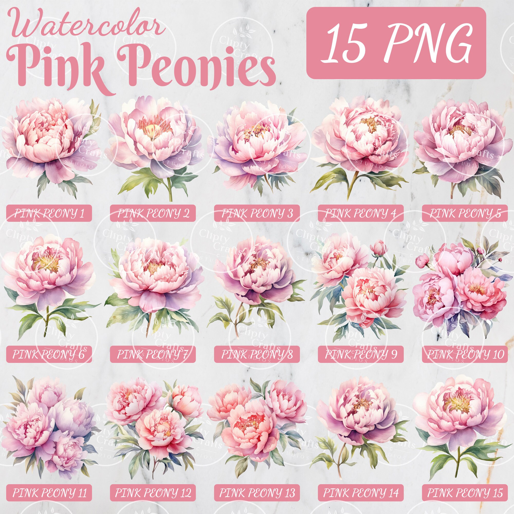 Watercolor Pink Peony Clipart Pink Peonies and Peony - Etsy