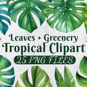 Watercolor Tropical Leaves Clipart, Monstera Leaves and Lush Tropical ...