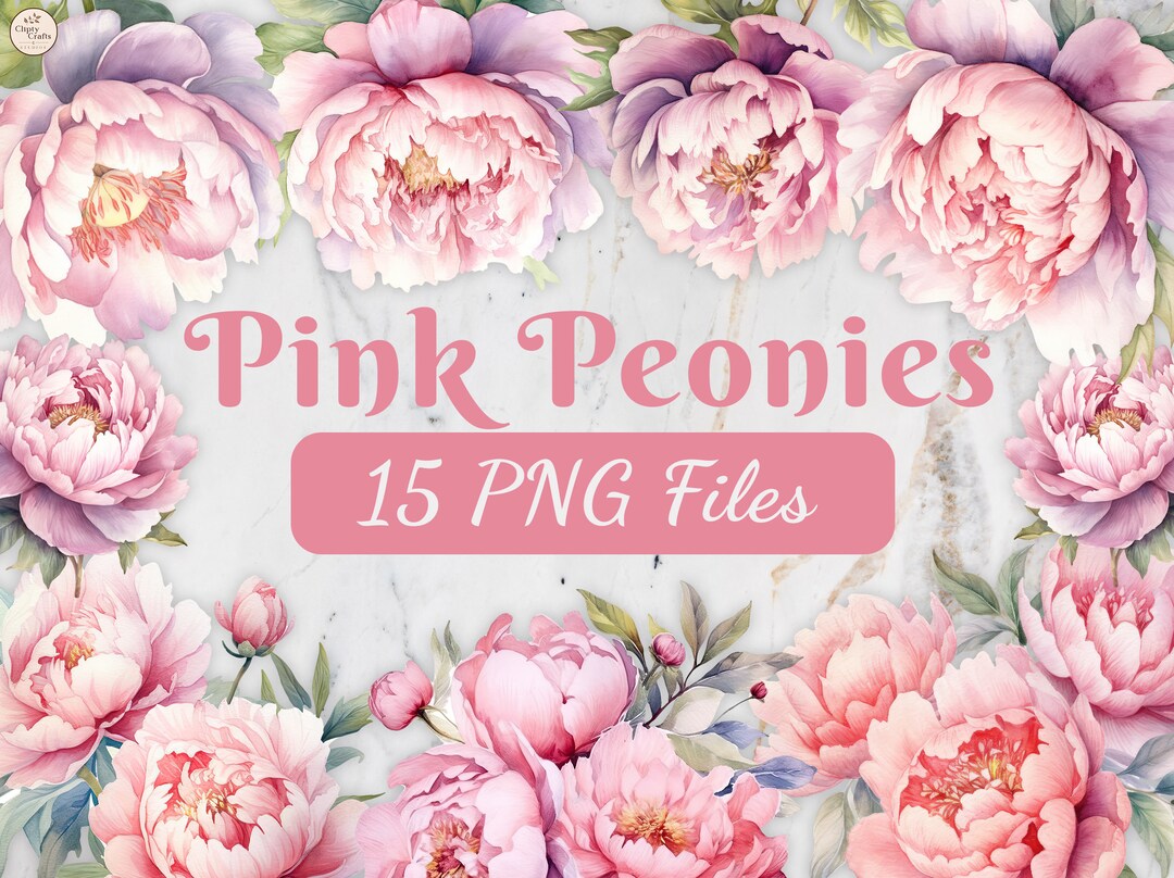 Watercolor Pink Peony Clipart Pink Peonies and Peony - Etsy