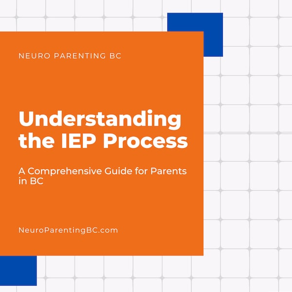 Iep Guide - Etsy