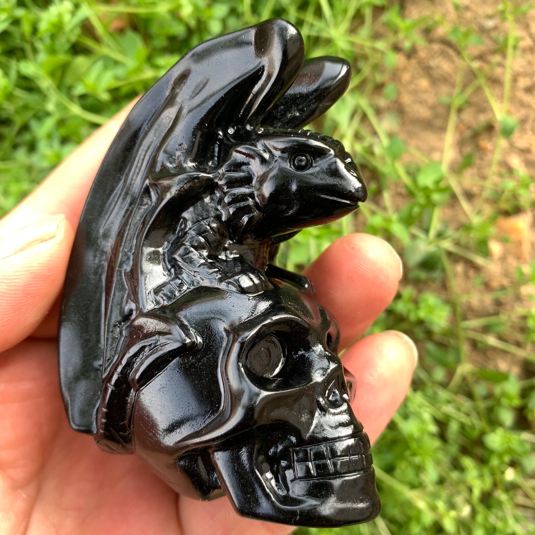 Natural Obsidian Bone-flying Dragon Skull-quartz - Etsy