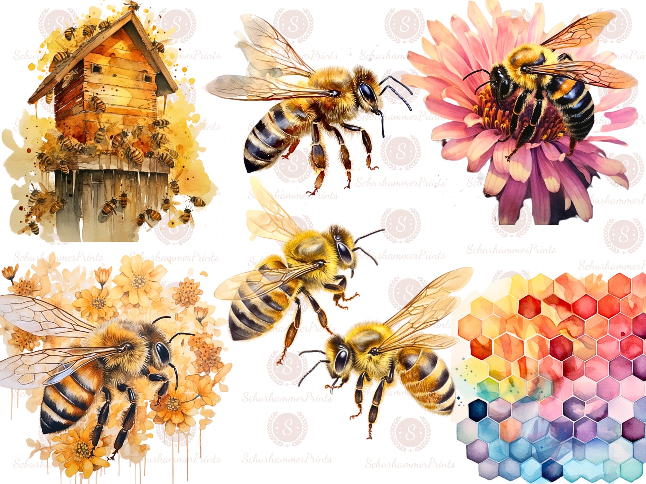 Watercolor Honey Bee Clipart, Summer, Spring Garden Bee Clipart, Honey ...