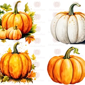 Watercolor Pumpkin Clipart, Autumn Clipart, Halloween Clipart, Fall ...