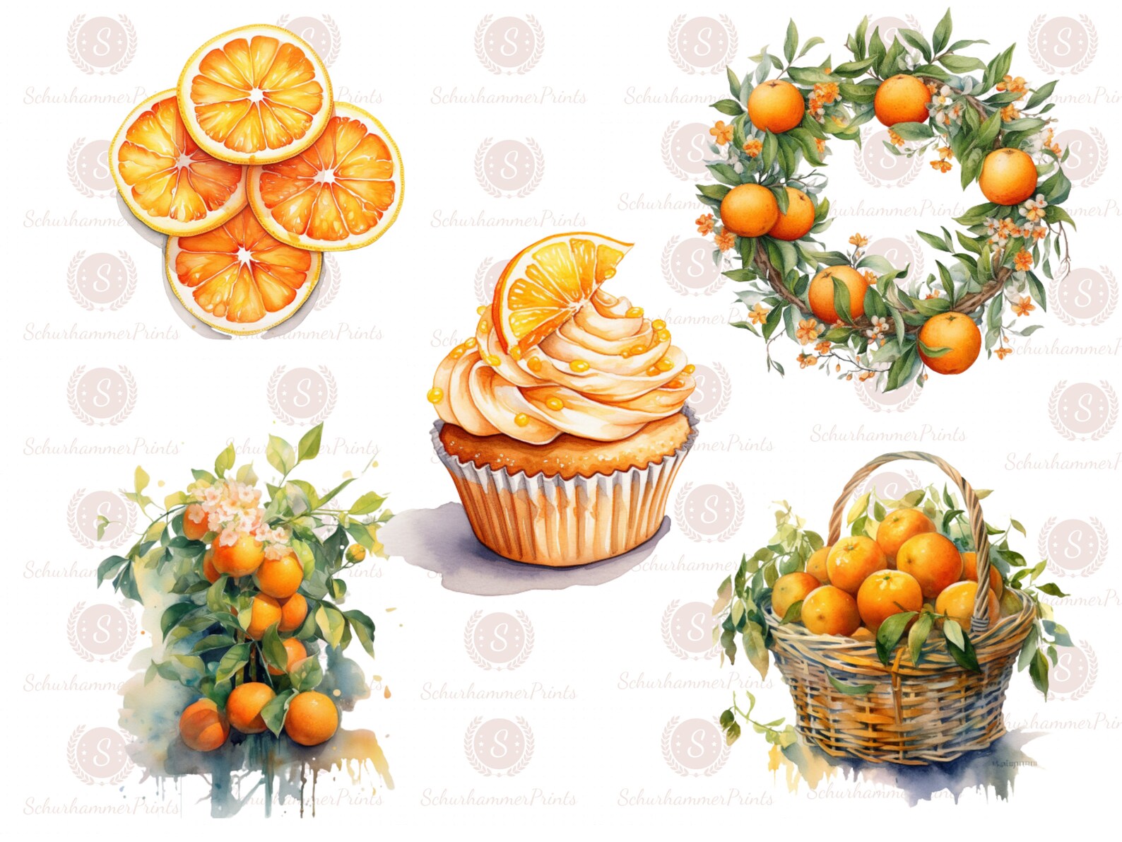 Watercolor Oranges Clipart, Digital PNG, Instant Download for ...