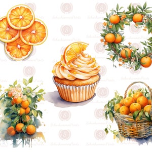 Watercolor Oranges Clipart, Digital PNG, Instant Download for ...