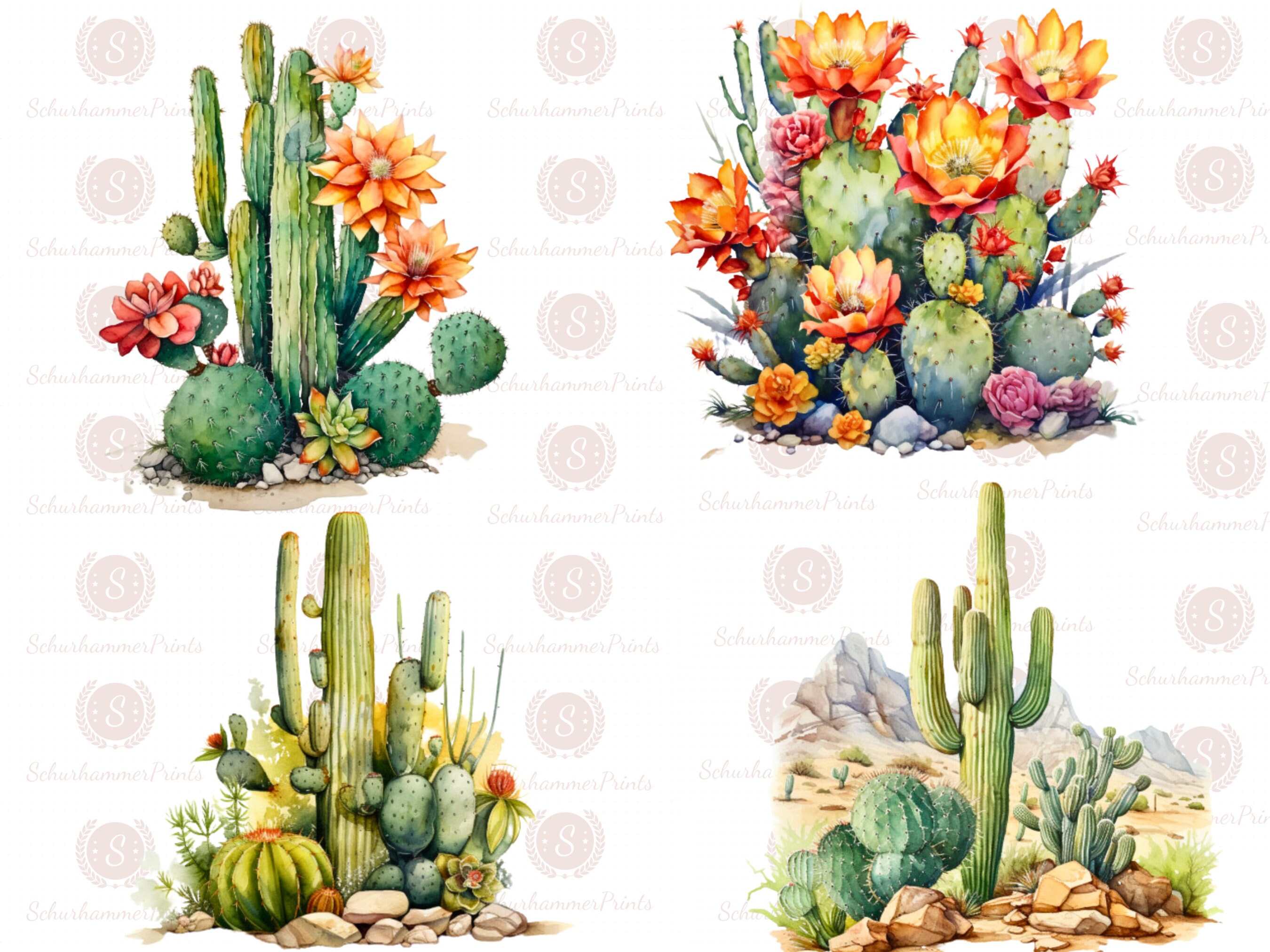 Watercolor Cactus Clipart, Desert Cactus Clipart, Desert Cacti ...
