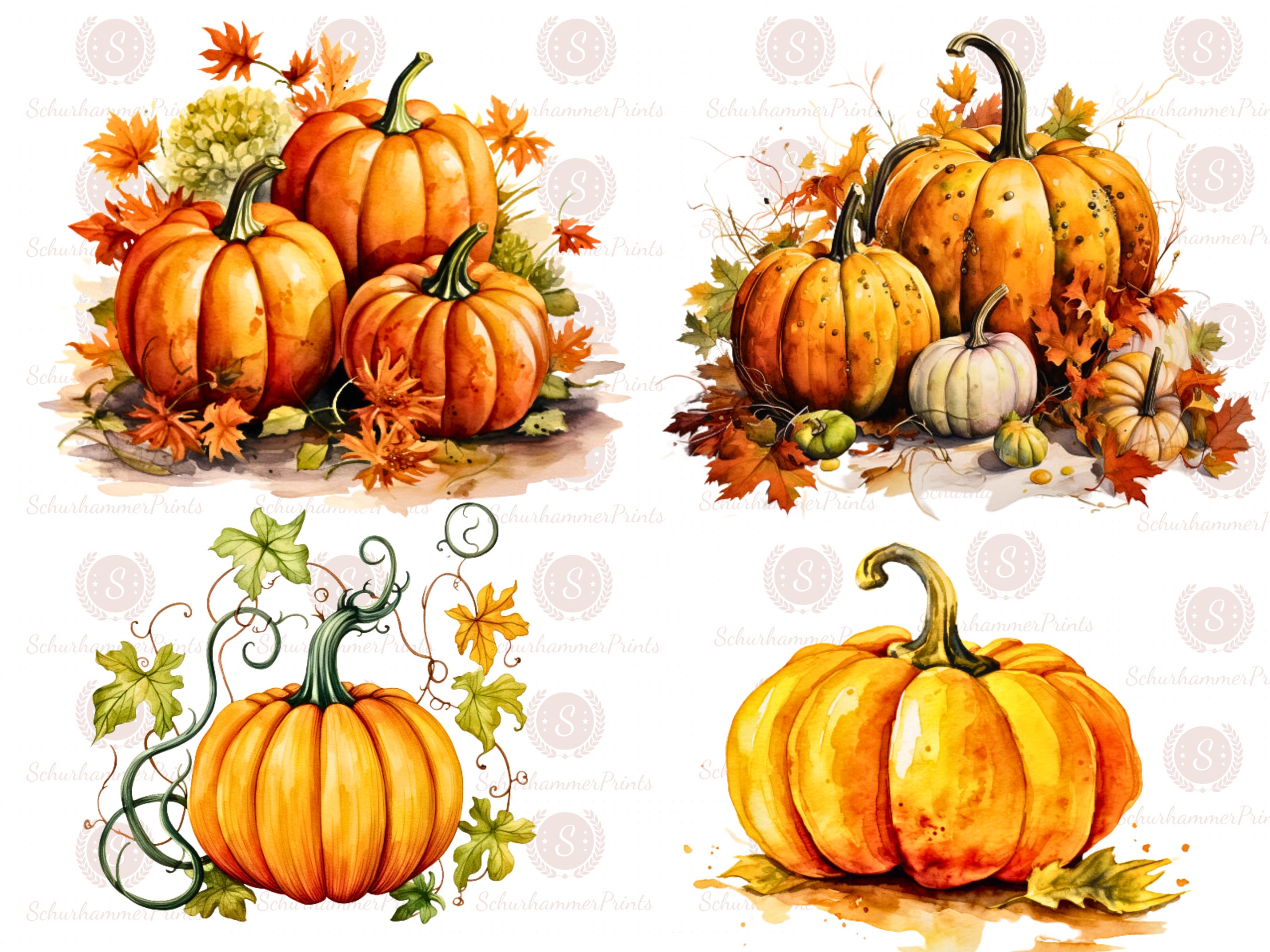 Watercolor Pumpkin Clipart, Autumn Clipart, Halloween Clipart, Fall ...