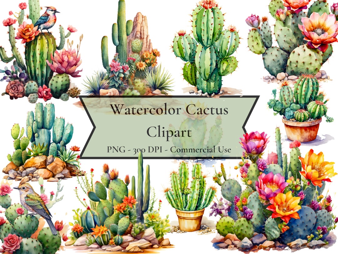 Watercolor Cactus Clipart, Desert Cactus Clipart, Desert Cacti ...