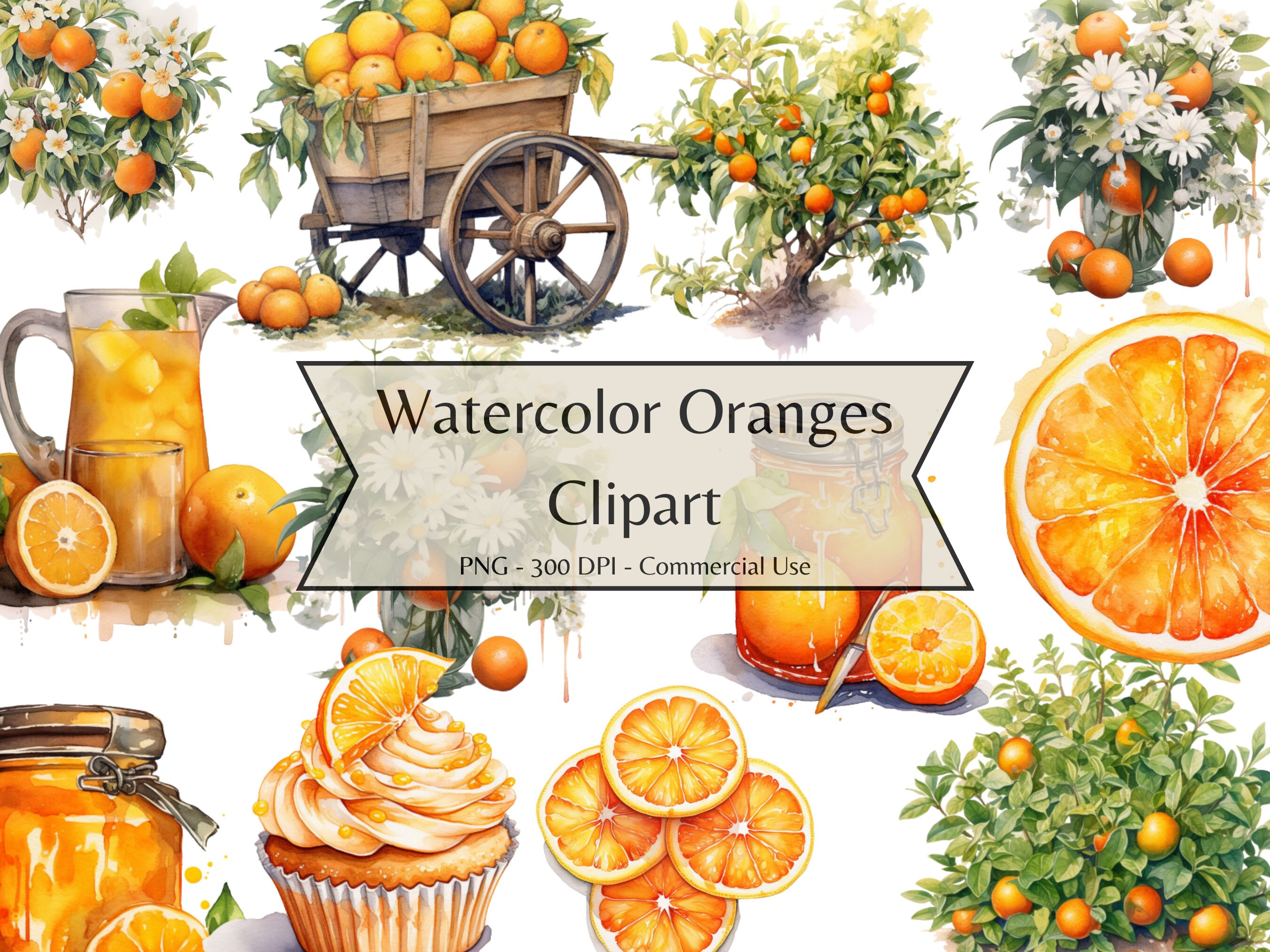 Watercolor Oranges Clipart, Digital PNG, Instant Download for ...