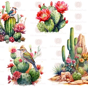Watercolor Cactus Clipart, Desert Cactus Clipart, Desert Cacti ...