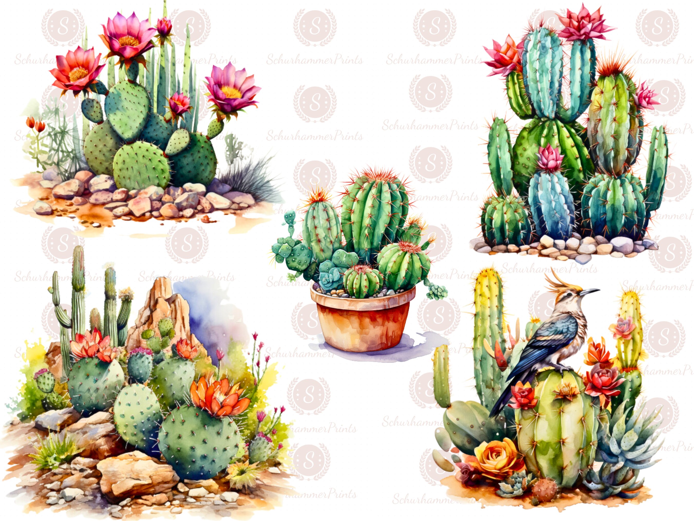 Watercolor Cactus Clipart, Desert Cactus Clipart, Desert Cacti ...