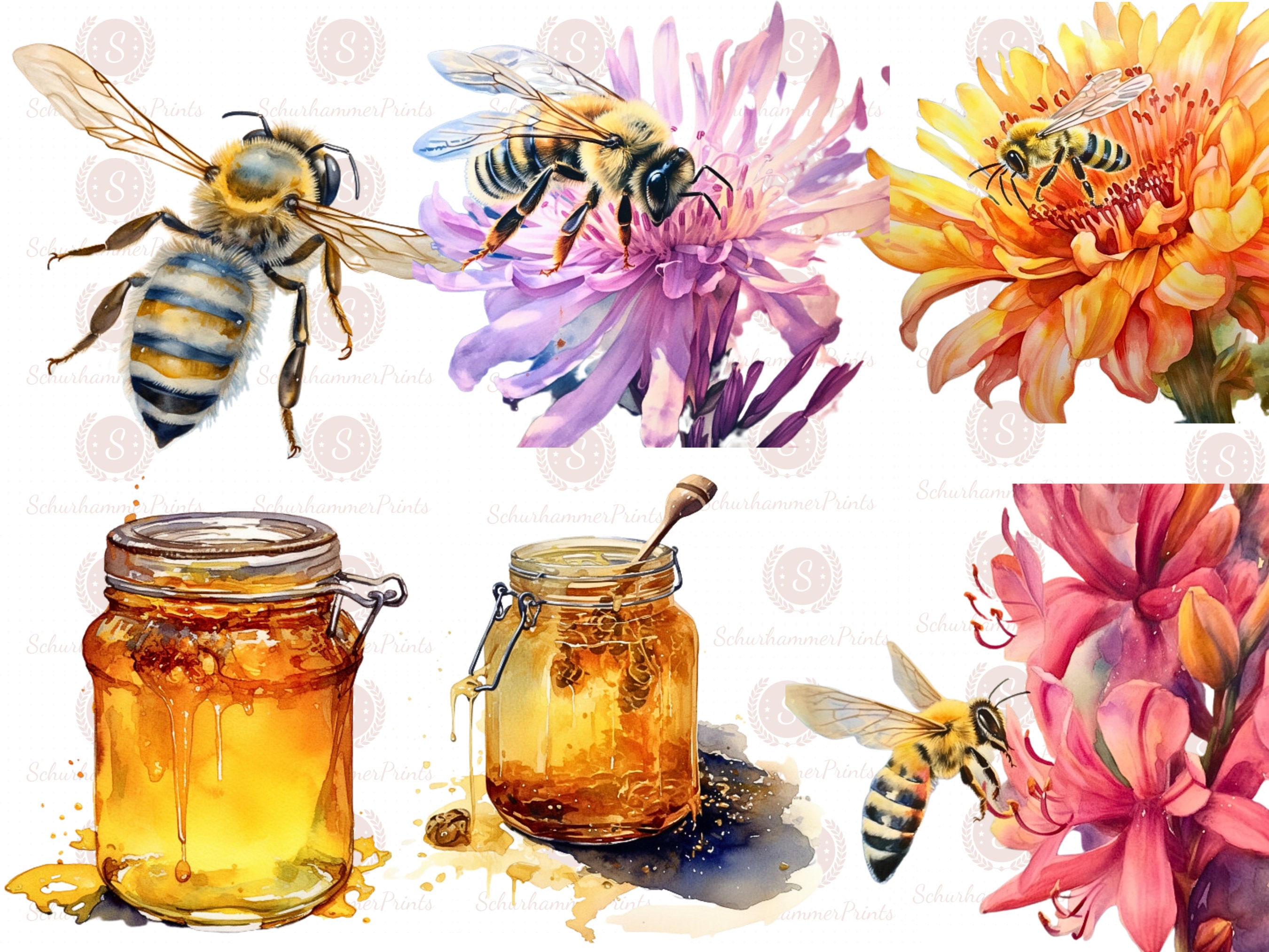Watercolor Honey Bee Clipart, Summer, Spring Garden Bee Clipart, Honey ...