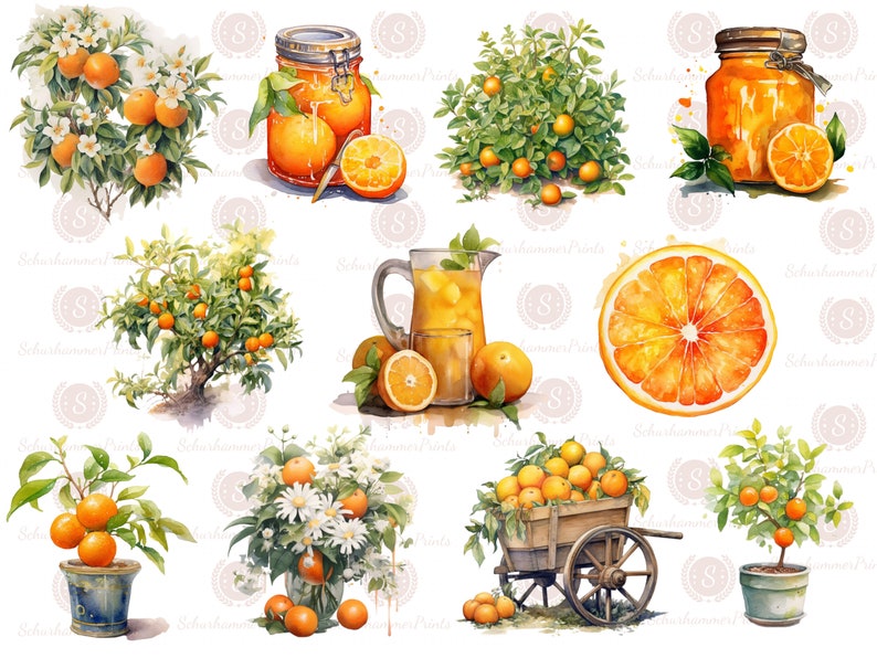 Watercolor Oranges Clipart digital PNG Instant download for - Etsy Portugal