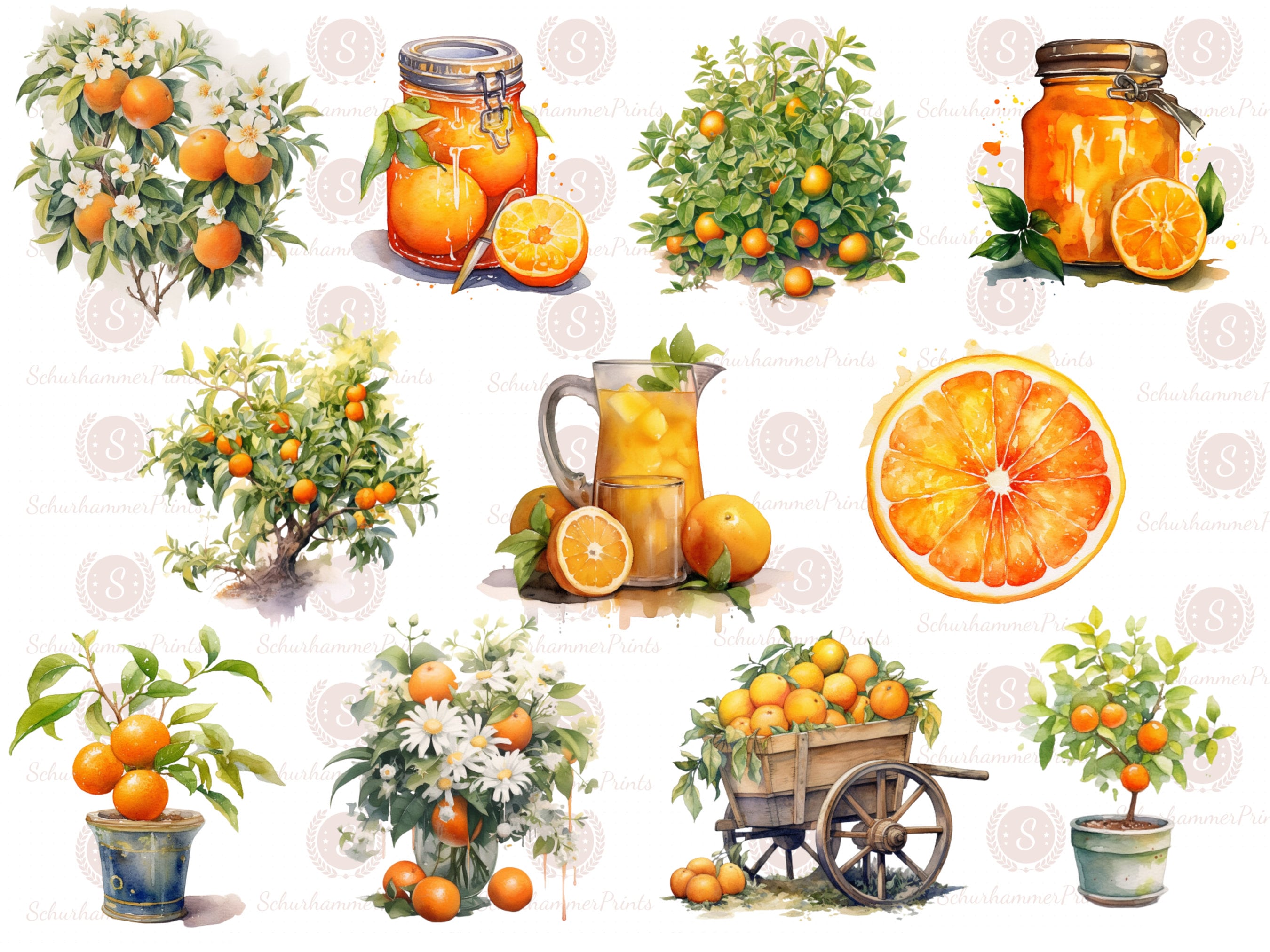 Watercolor Oranges Clipart, Digital PNG, Instant Download for ...