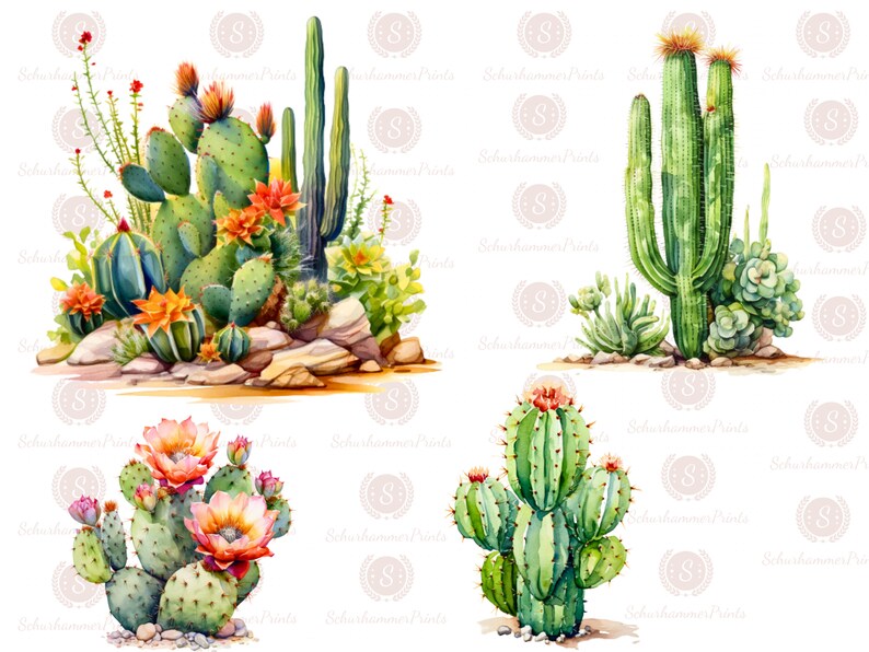 Watercolor Cactus Clipart, Desert Cactus Clipart, Desert Cacti ...
