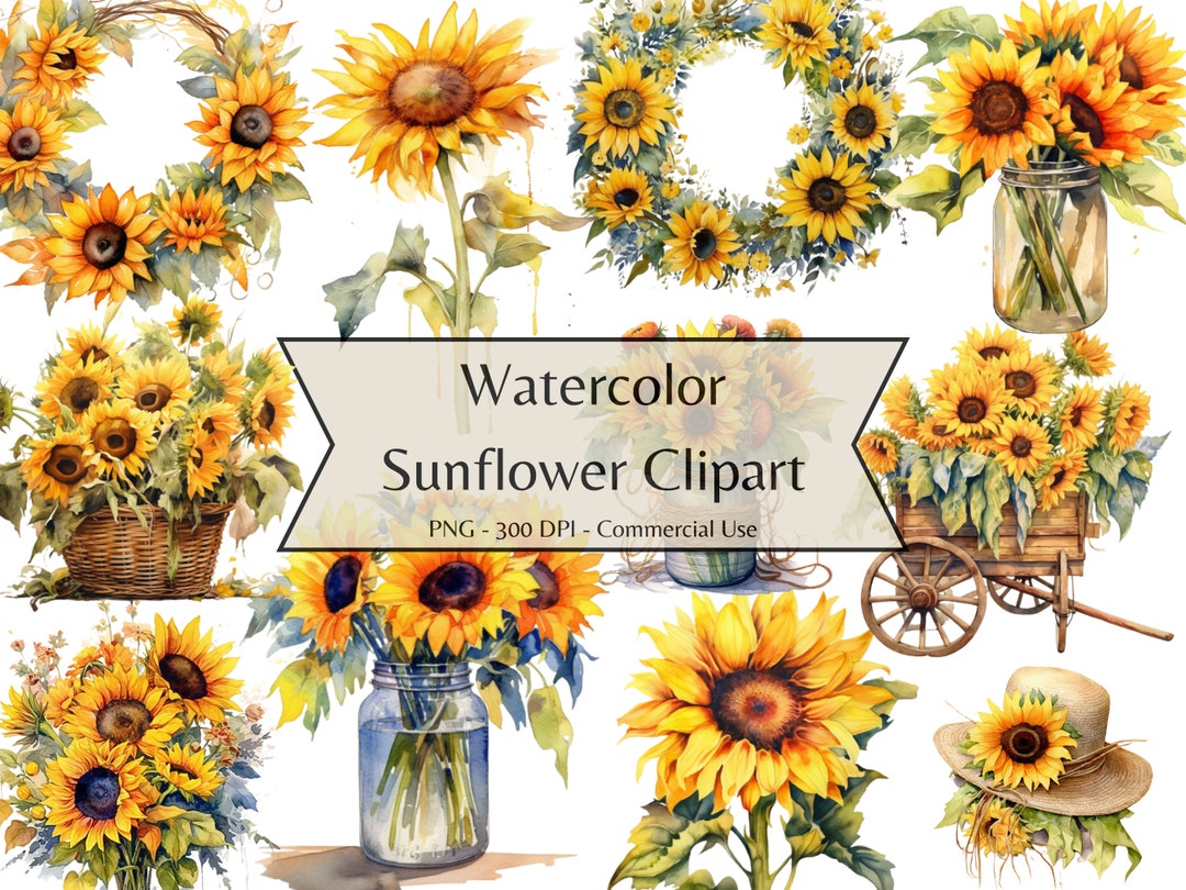Watercolor Sunflower Clipart, Summer Clipart, Sunflower Floral Bouquets ...