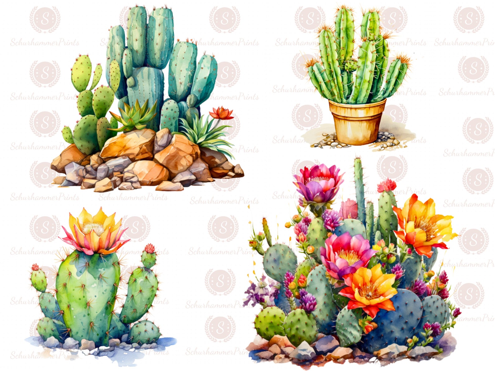 Watercolor Cactus Clipart, Desert Cactus Clipart, Desert Cacti ...