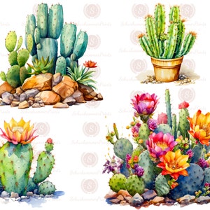 Watercolor Cactus Clipart, Desert Cactus Clipart, Desert Cacti ...