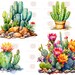 Watercolor Cactus Clipart, Desert Cactus Clipart, Desert Cacti ...