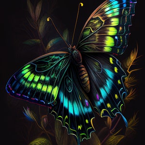 Beautiful Butterfly Digital Print, Nature Inspired Wall Art, Multi ...