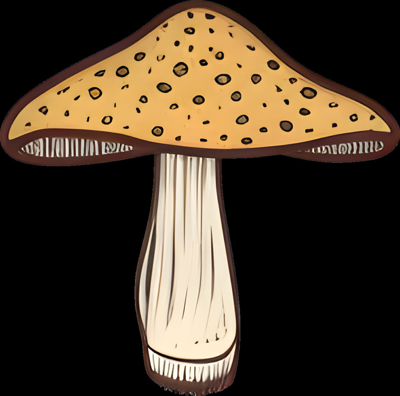 Magical Cartoon Mushroom Clipart Bundle 12 Mushroom Pngs, Woodland ...
