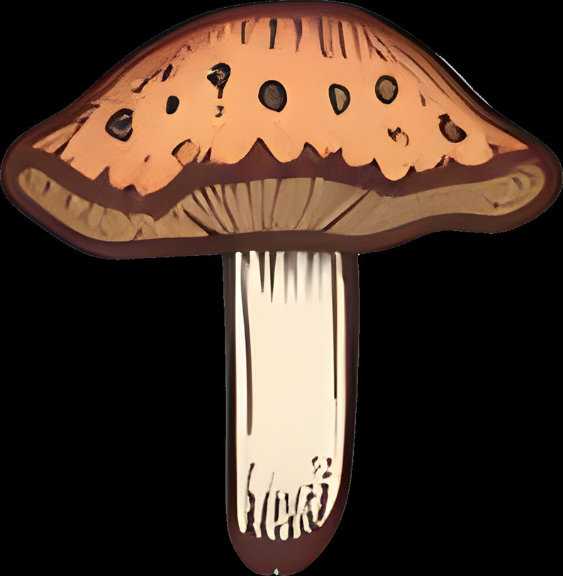 Magical Cartoon Mushroom Clipart Bundle 12 Mushroom Pngs, Woodland ...