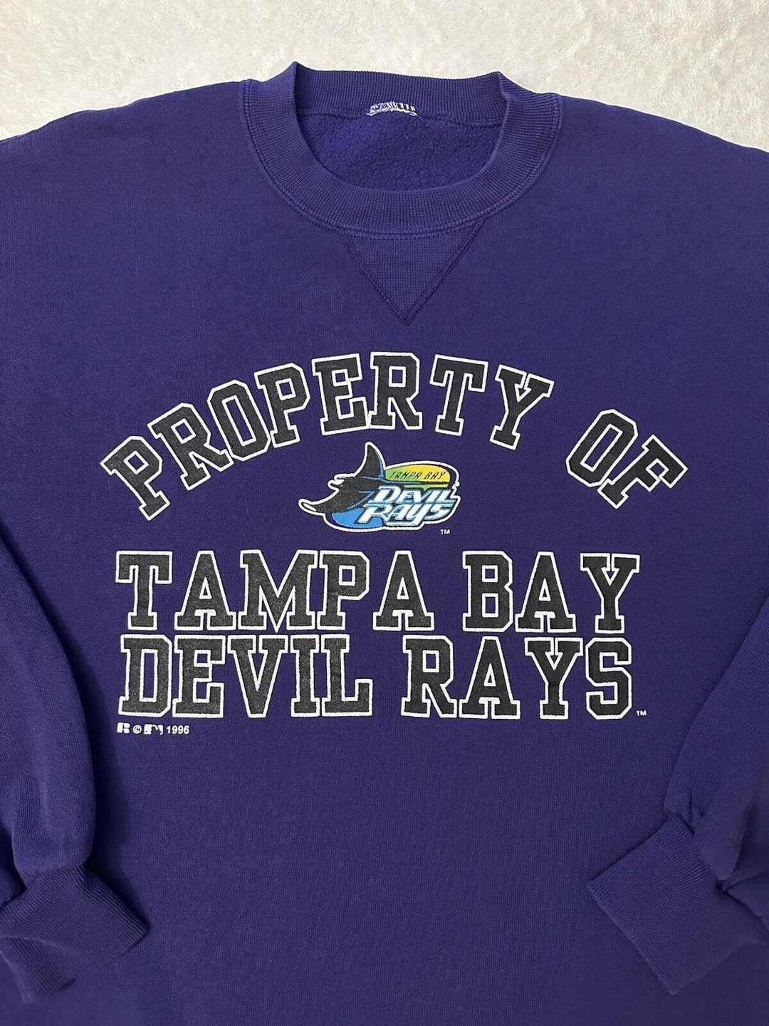 Vintage 1990s 90s Tampa Bay Devil Rays MLB Russell Athletic Sweatshirt ...